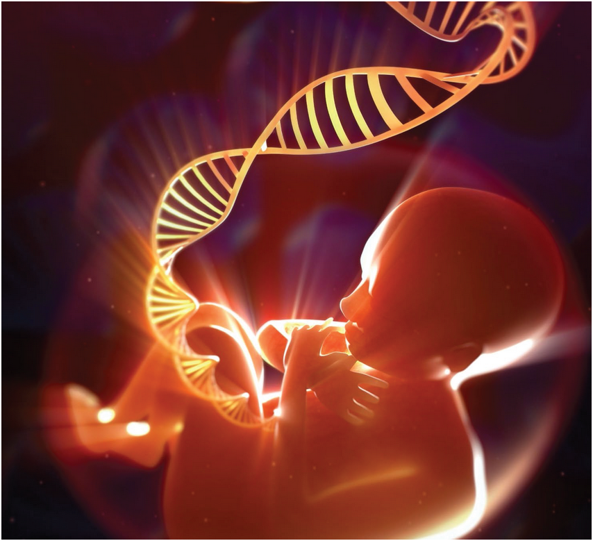 LONG-TERM VISION FOR HEALTH: GENETIC TESTING FOR HEREDITARY CANCER